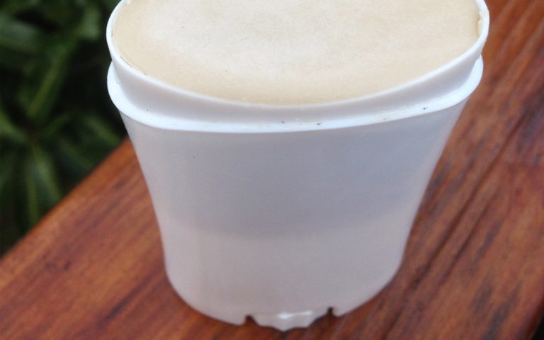 Roll-On Deodorant Stick – Natural Nerd | Free DIY Recipes For Your Body ...