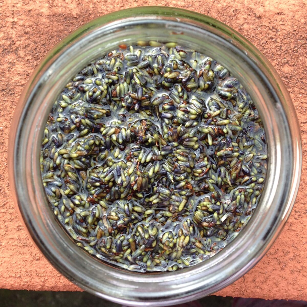 5 Types of Extracts You Can Make At Home – Natural Nerd | Free DIY ...