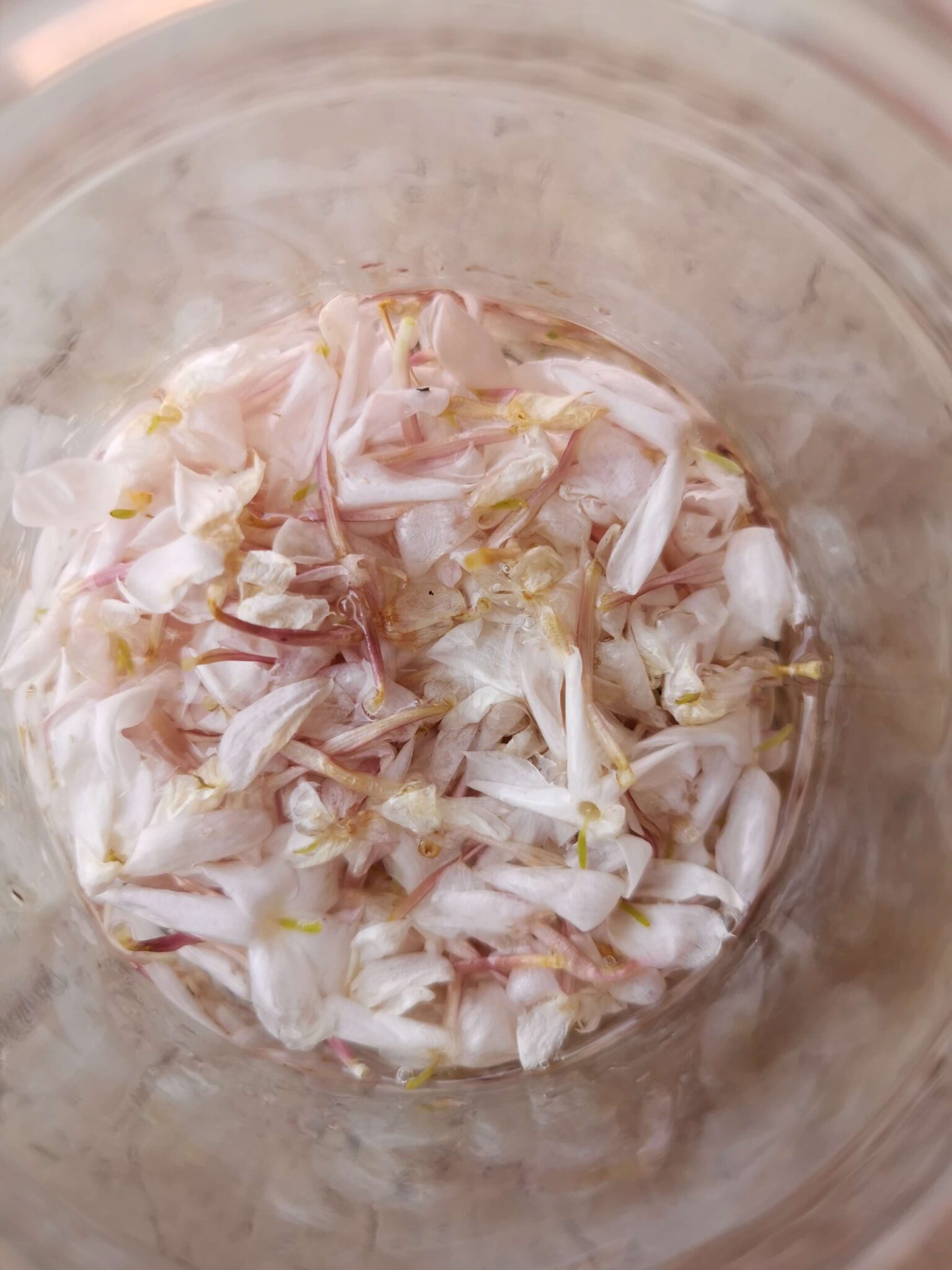 5 Types of Extracts You Can Make At Home – Natural Nerd | Free DIY ...