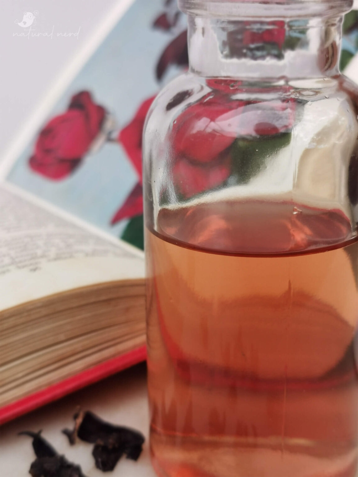 5 Types of Extracts You Can Make At Home – Natural Nerd