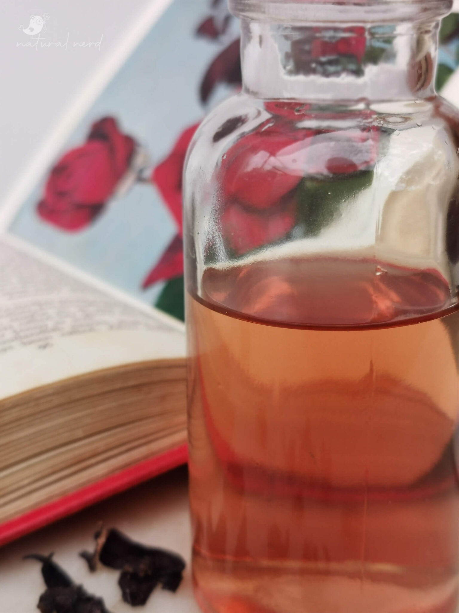 5 Types of Extracts You Can Make At Home – Natural Nerd | Free DIY ...