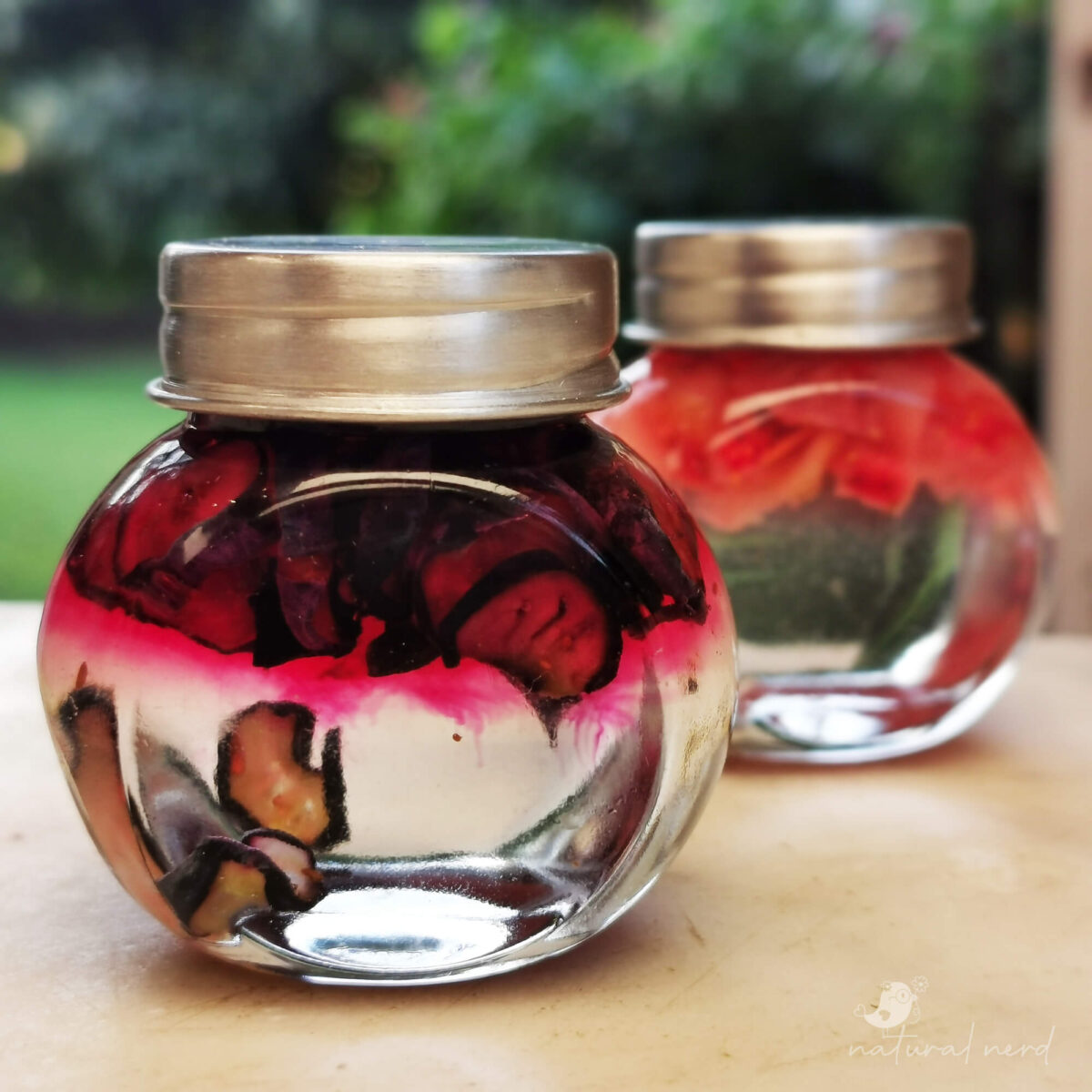 5 Types of Extracts You Can Make At Home – Natural Nerd | Free DIY ...